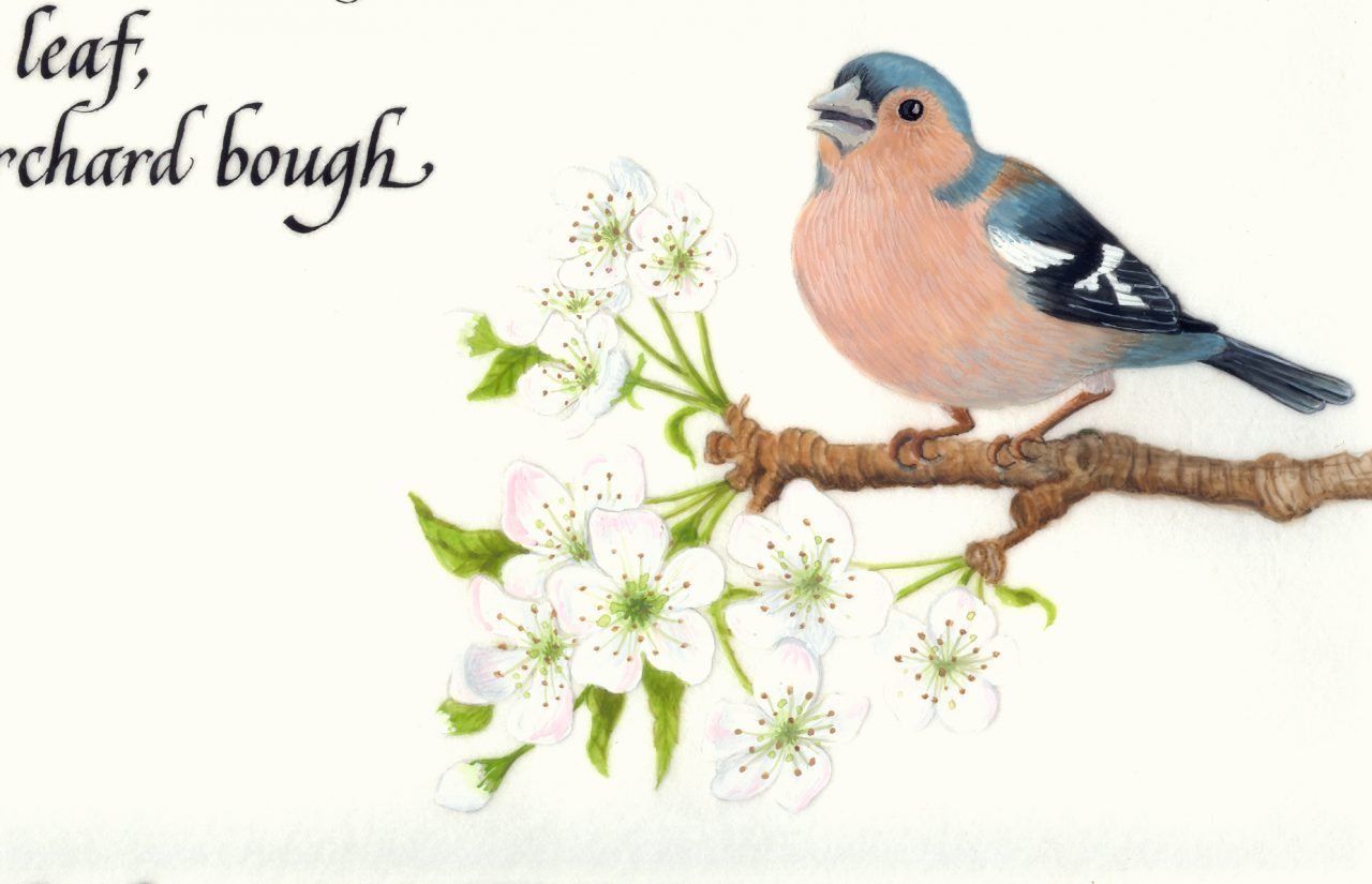 Prose and poetry - Calligrapher | Valley Calligraphy